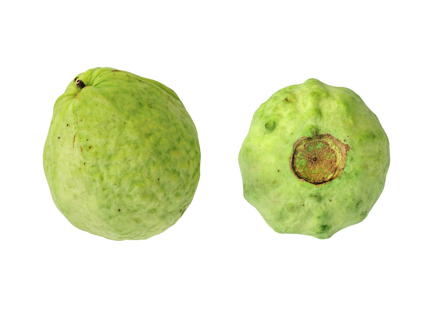 3D Guava - TurboSquid 2098277