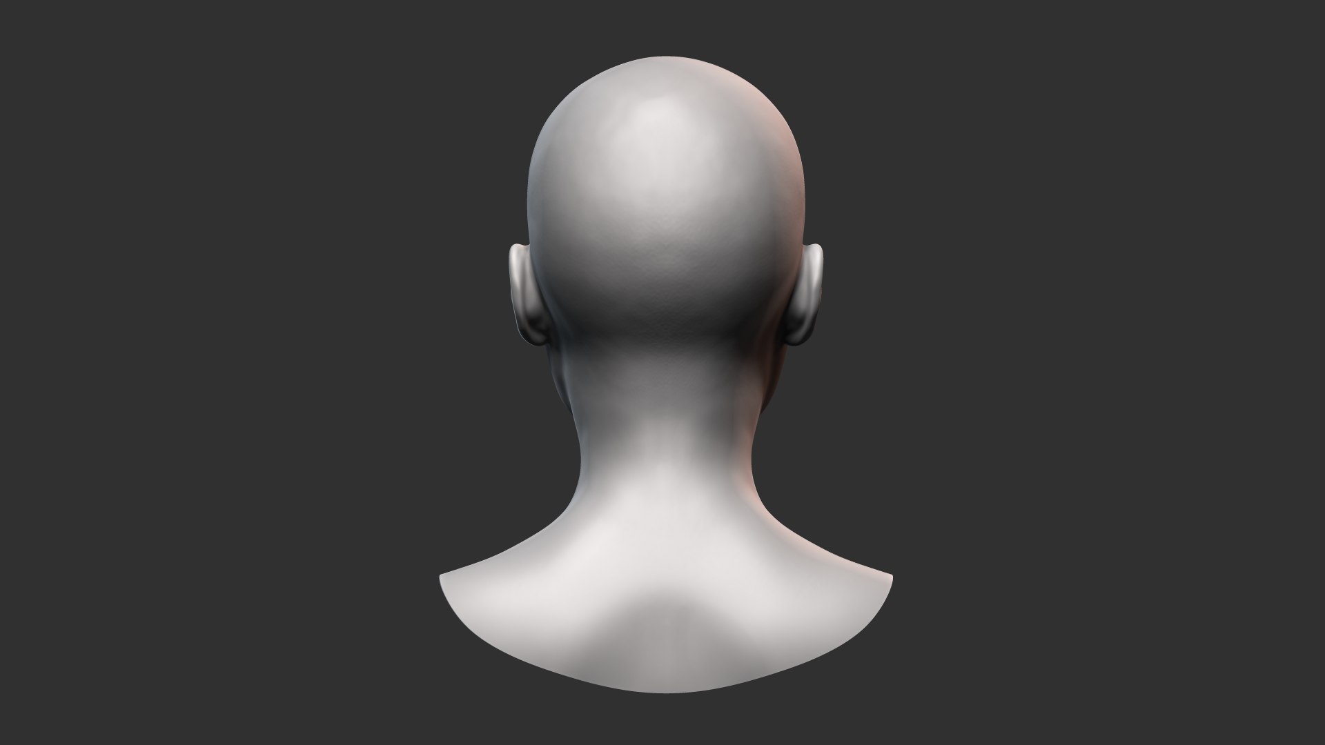 European Bust Female Head 3D Model - TurboSquid 1906507