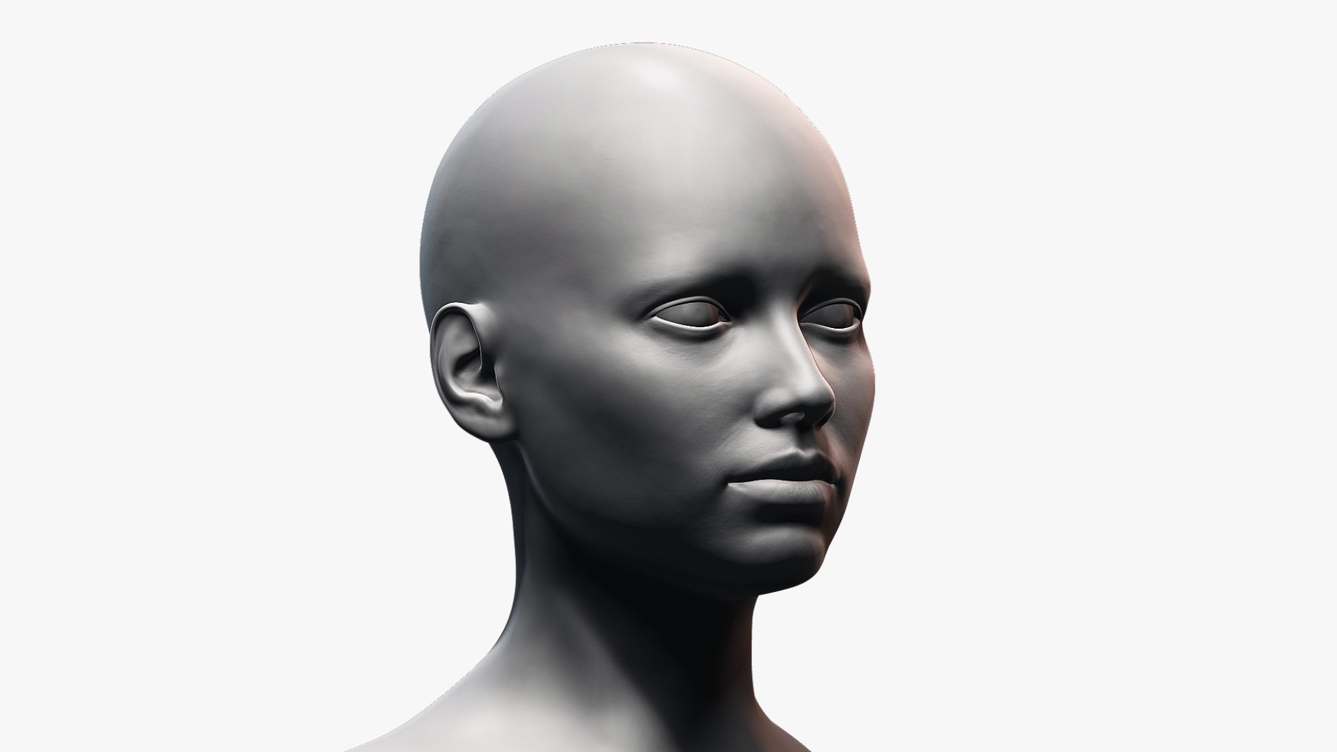 European Bust Female Head 3D Model - TurboSquid 1906507