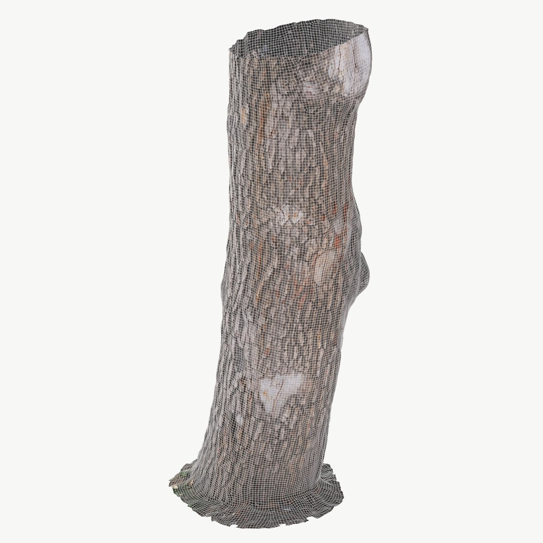 3D High Quality Scan Ash Tree Trunk - 4 - TurboSquid 2207981