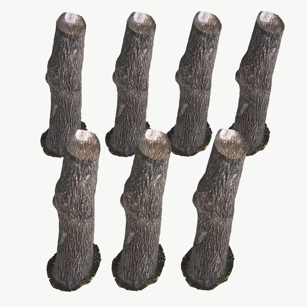 3D High Quality Scan Ash Tree Trunk - 4 - TurboSquid 2207981