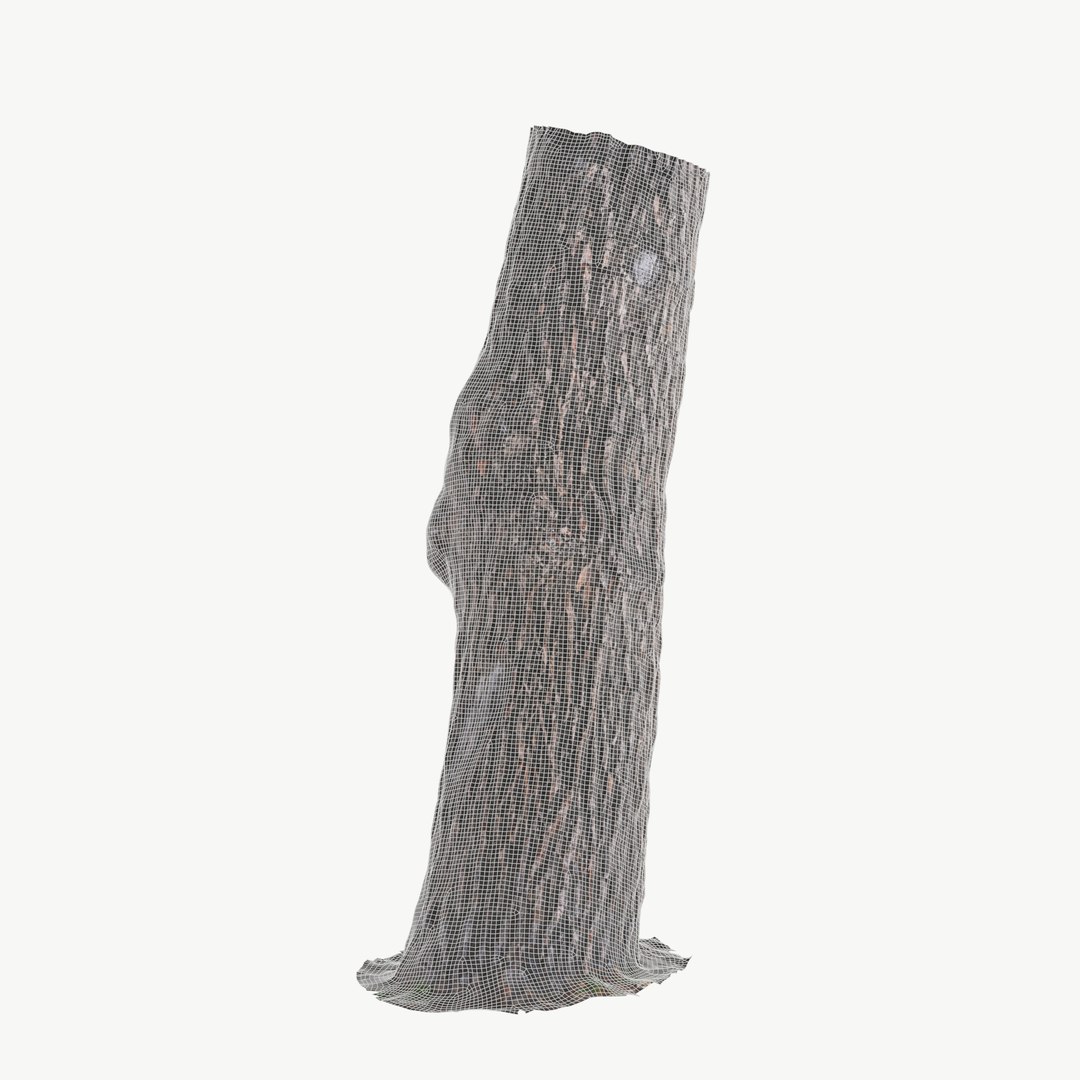 3D High Quality Scan Ash Tree Trunk - 4 - TurboSquid 2207981