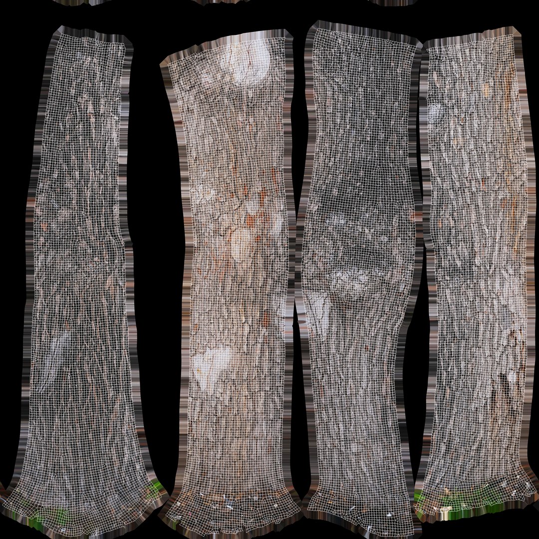 3D High Quality Scan Ash Tree Trunk - 4 - TurboSquid 2207981
