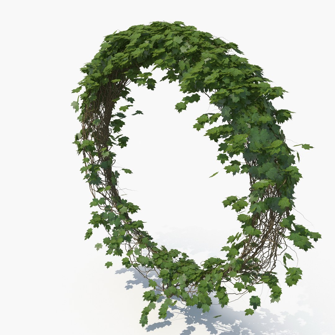 Realistic Ivy 3D - TurboSquid 1151367