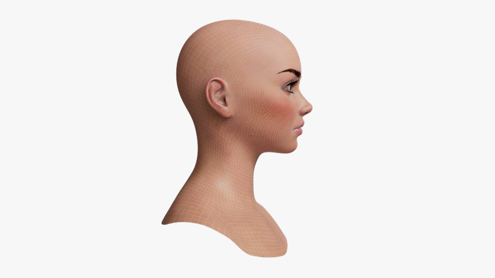 Female Head Mesh Metahuman Unreal Topology Woman Head Mesh V1 3D ...