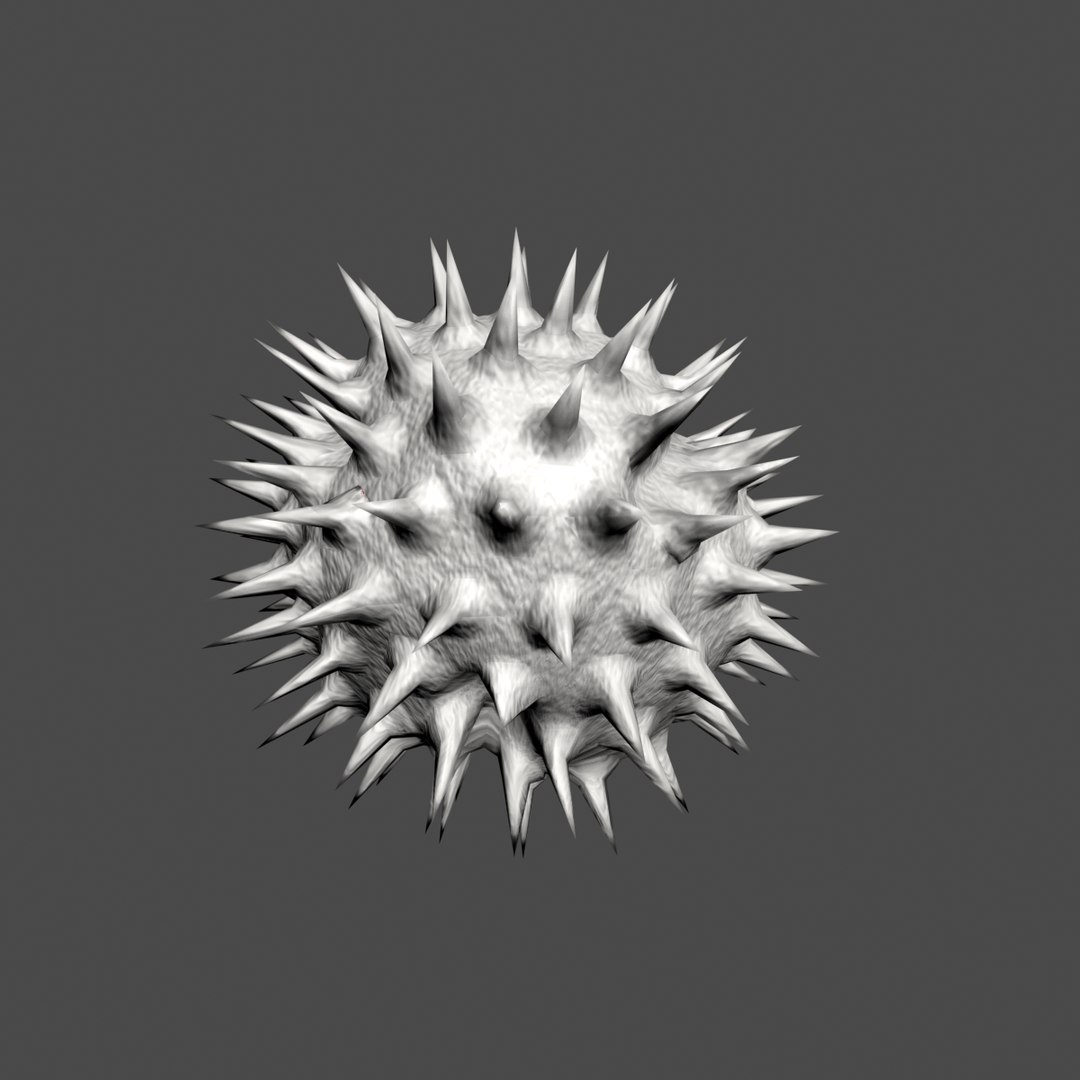 Sunflower Pollen 3D Model - TurboSquid 1235909
