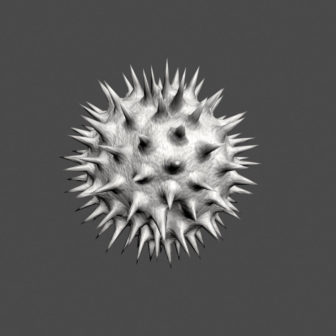 Sunflower Pollen 3D Model - TurboSquid 1235909
