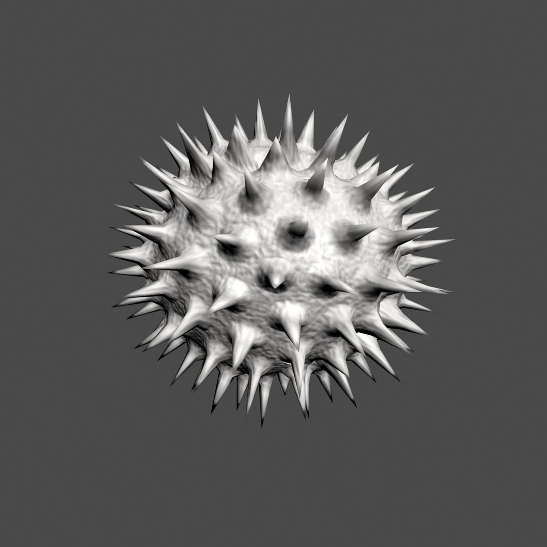 Sunflower Pollen 3D Model - TurboSquid 1235909