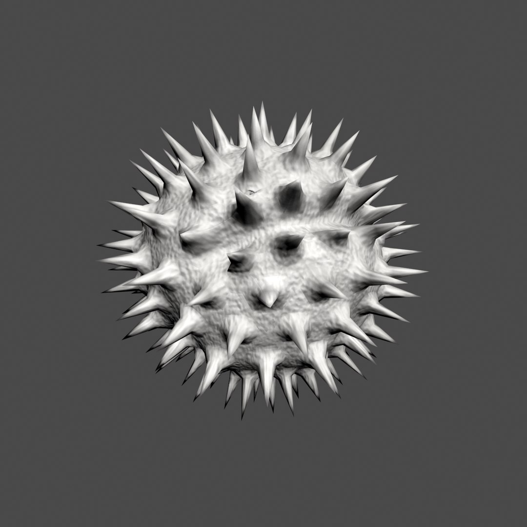 Sunflower Pollen 3D Model - TurboSquid 1235909