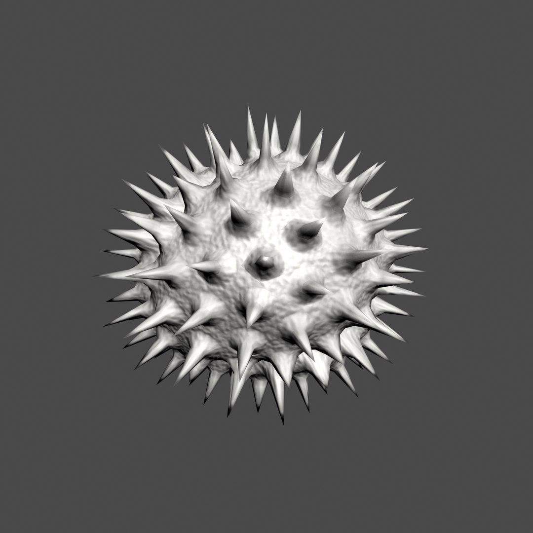 Sunflower Pollen 3D Model - TurboSquid 1235909
