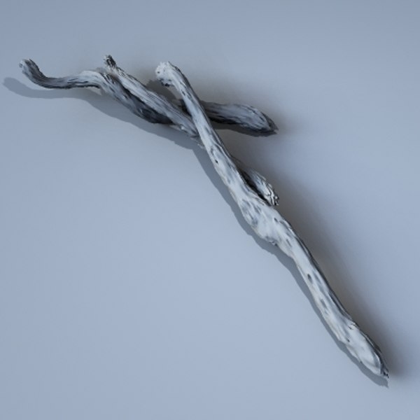 modelo 3d TwistedBranches001 3DS - TurboSquid 485088