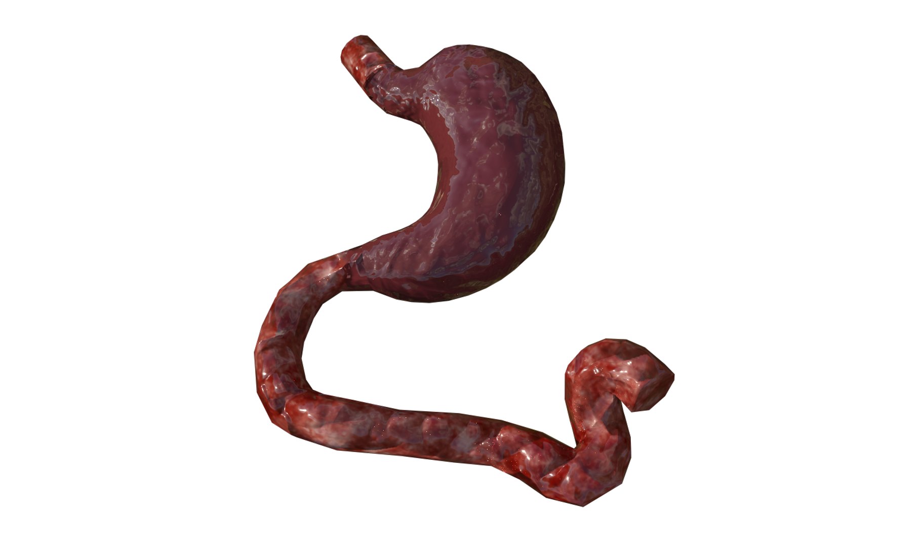 3D Model Animal Carcasses Pack - TurboSquid 2092572