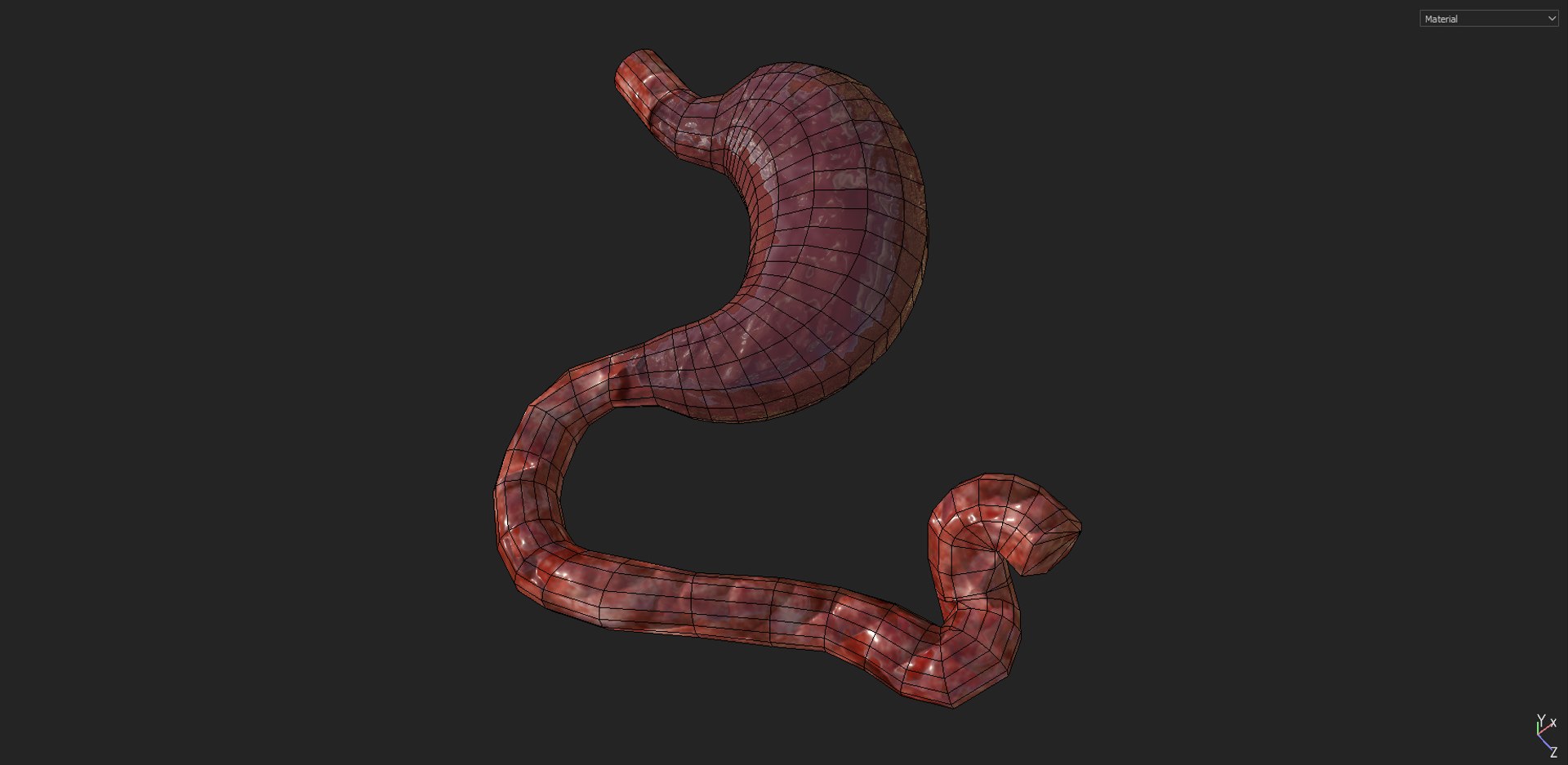 3D Model Animal Carcasses Pack - TurboSquid 2092572