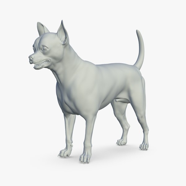 Chihuahua 3D Models for Download | TurboSquid
