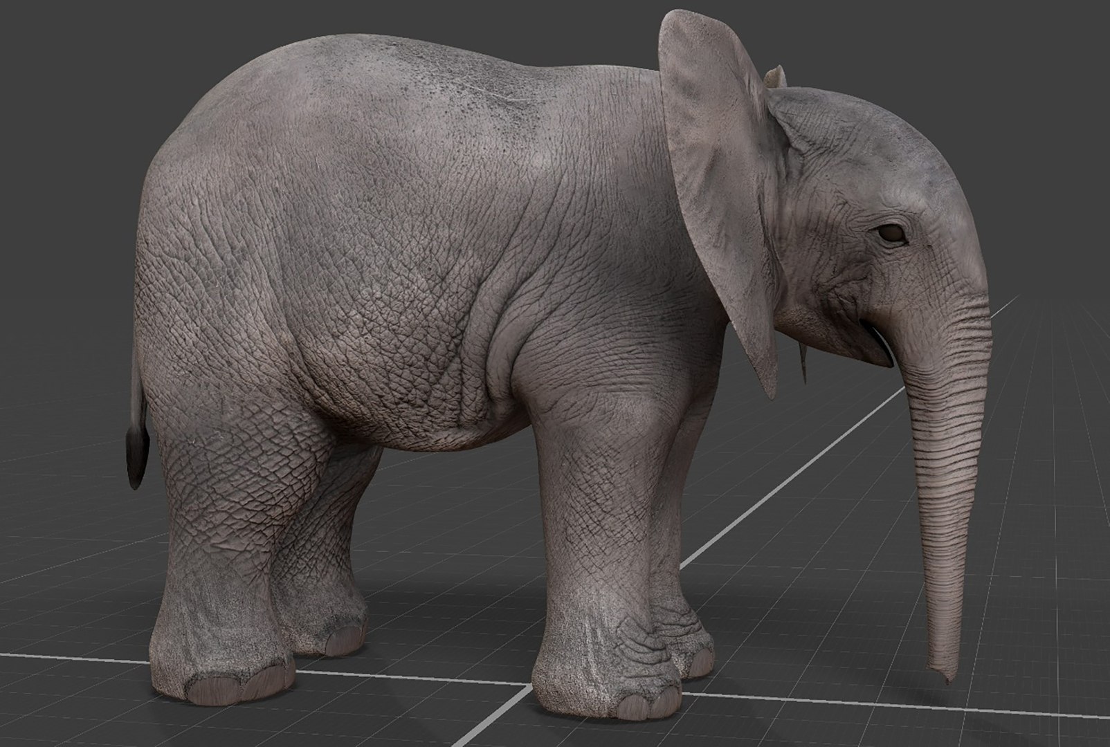 3D Baby Elephant Model - TurboSquid 1983077