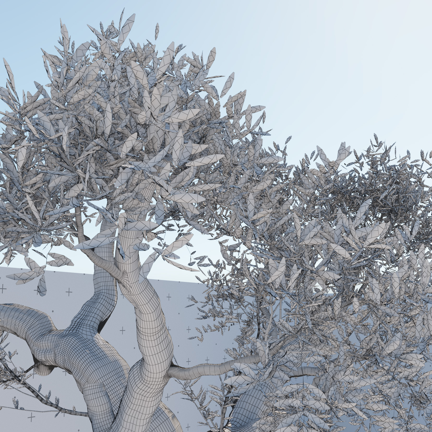 Olive tree 3D - TurboSquid 1303794