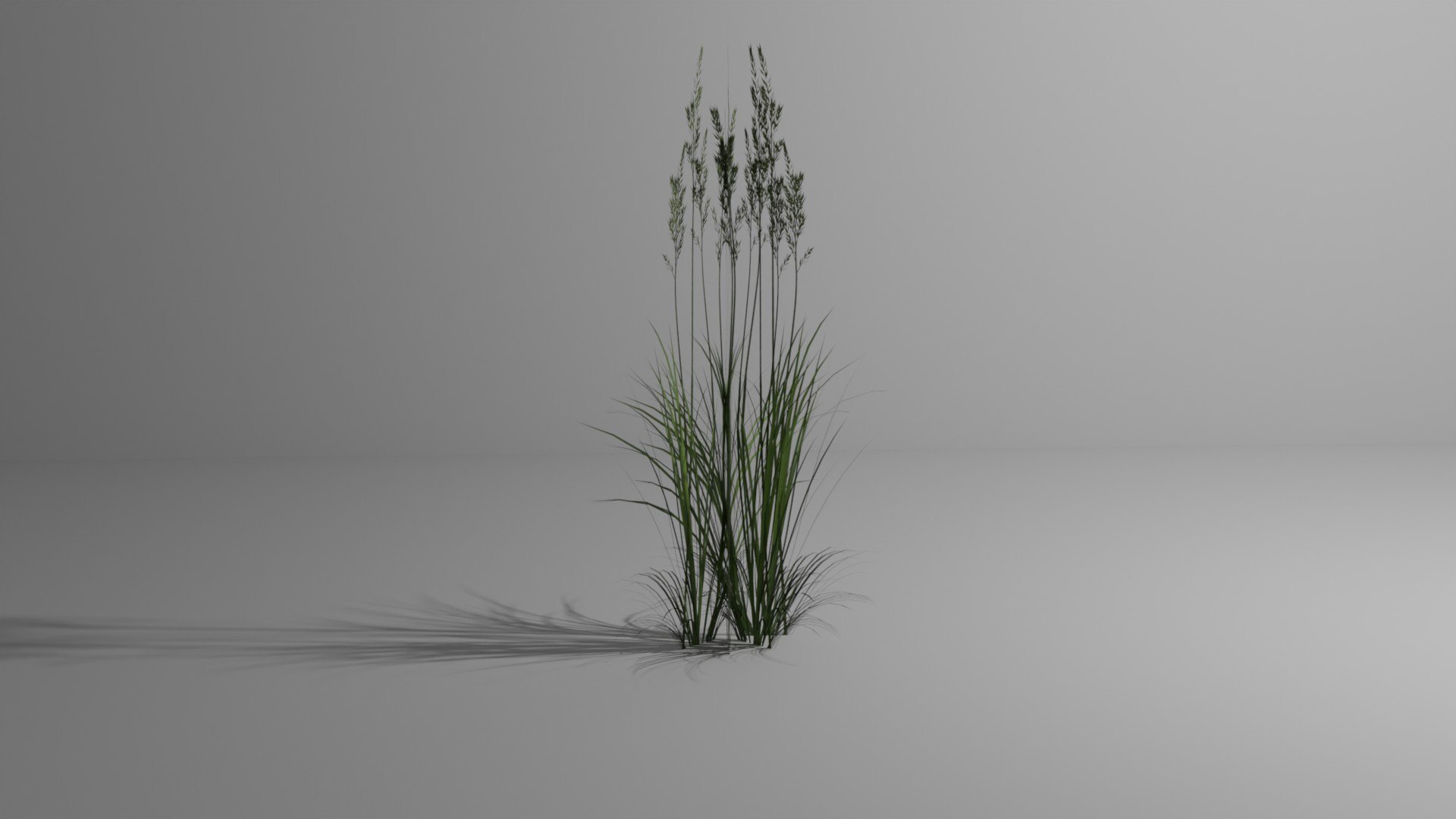 Realistic Grass Model - TurboSquid 1941423