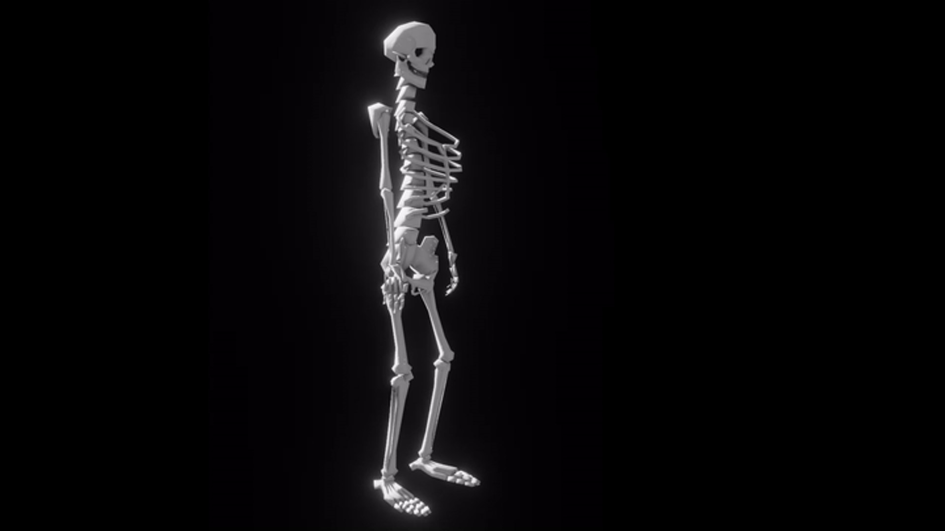 3D Rigged Human Skeleton - TurboSquid 1825511
