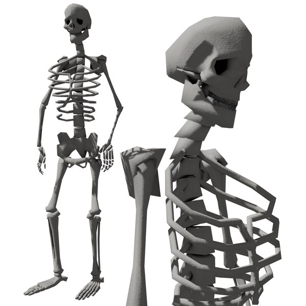 3D Rigged Human Skeleton - TurboSquid 1825511