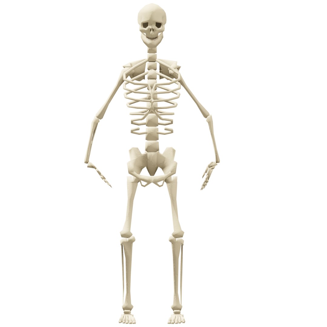 3D Rigged Human Skeleton - TurboSquid 1825511