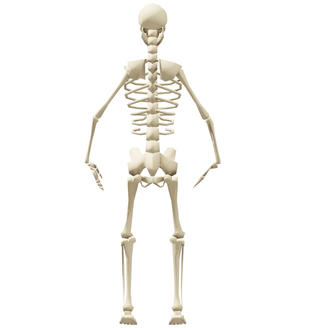 3D Rigged Human Skeleton - TurboSquid 1825511