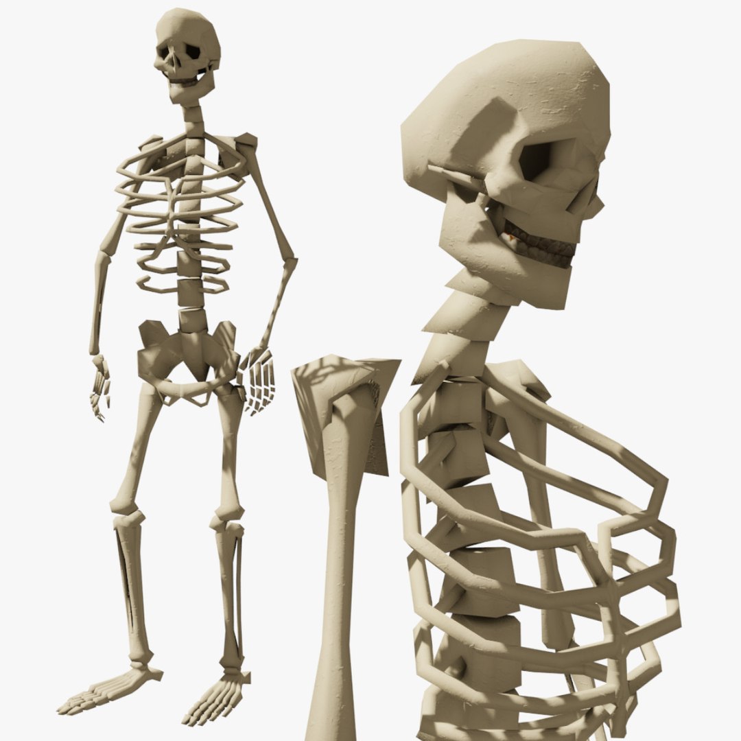 3D Rigged Human Skeleton - TurboSquid 1825511