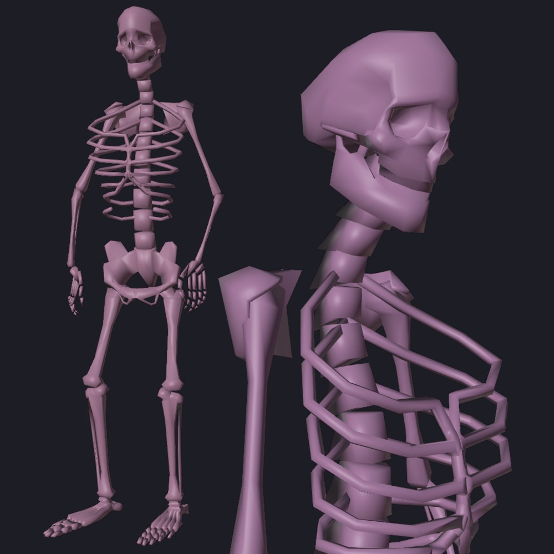 Fully rigged human skeleton | rigged human skeleton – PBFF