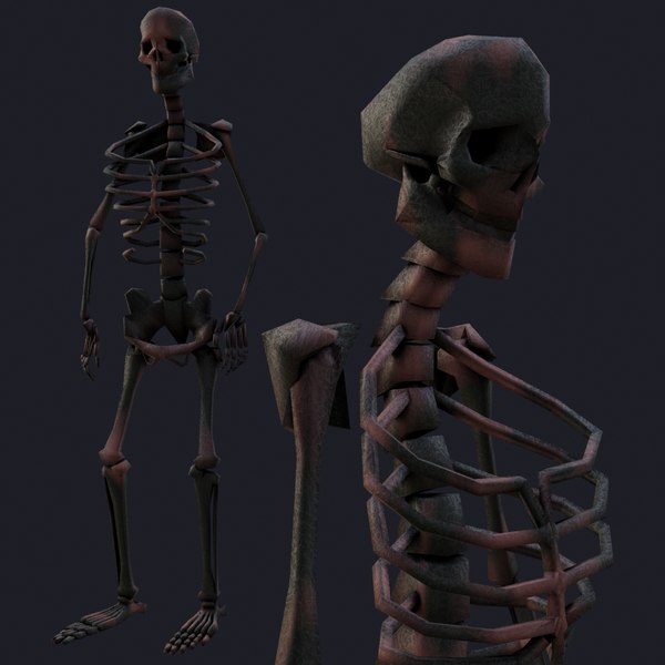 3D Rigged Human Skeleton - TurboSquid 1825511