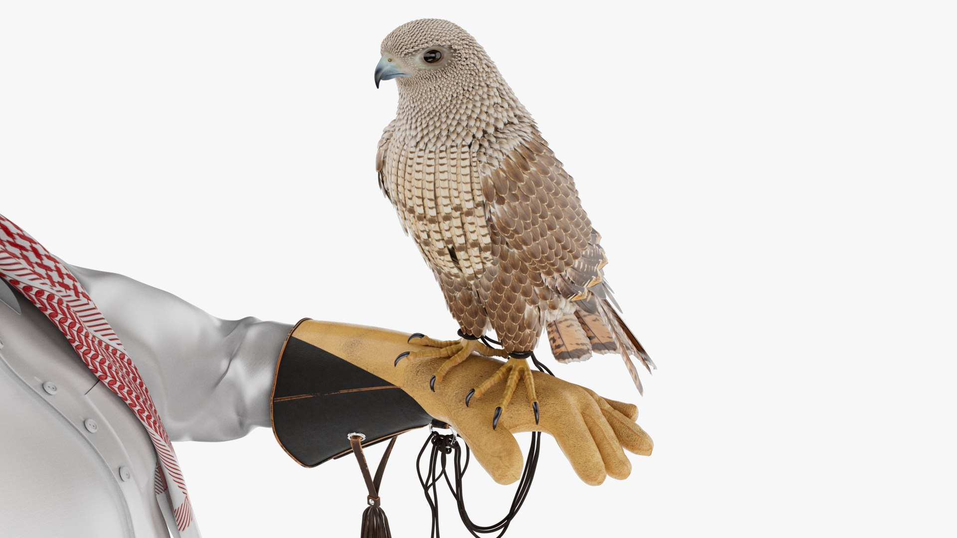 3D Arab Man With Falcon Model - TurboSquid 2187534