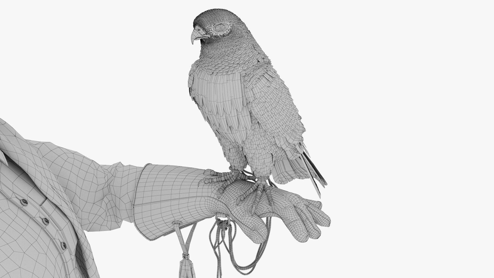 3D Arab Man With Falcon Model - TurboSquid 2187534