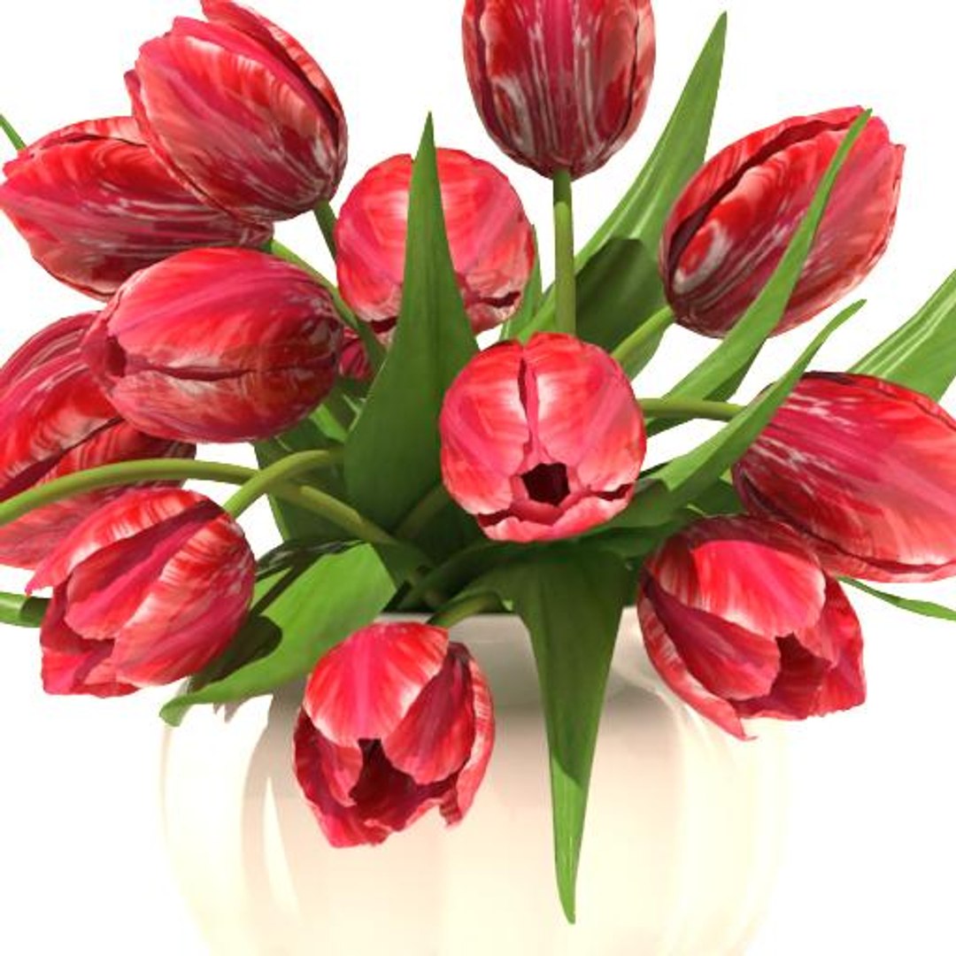 Maya Red Tulips Bouquet V3