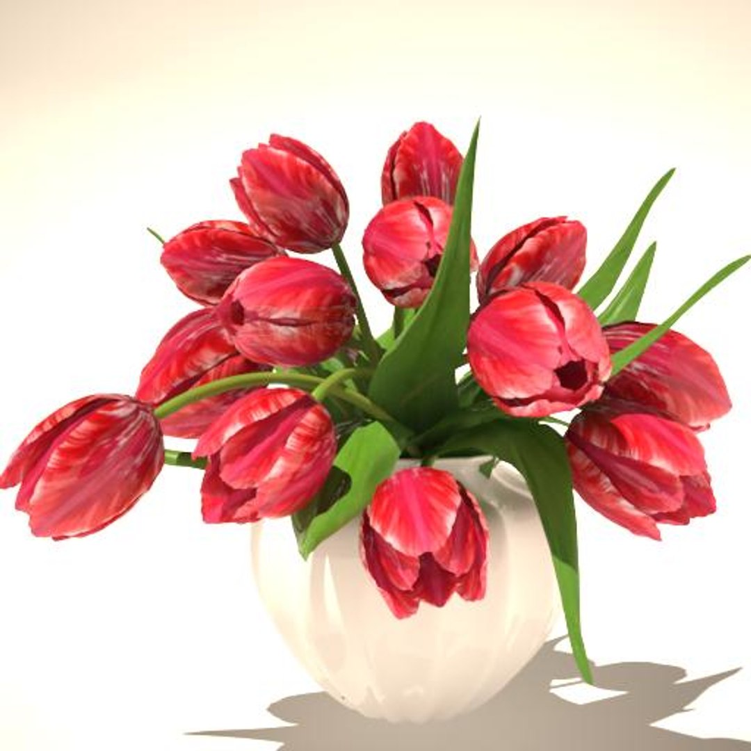 Maya Red Tulips Bouquet V3