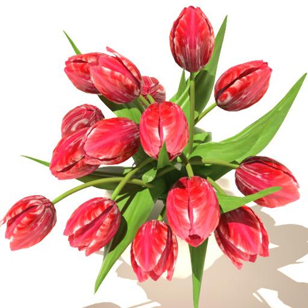 Maya Red Tulips Bouquet V3