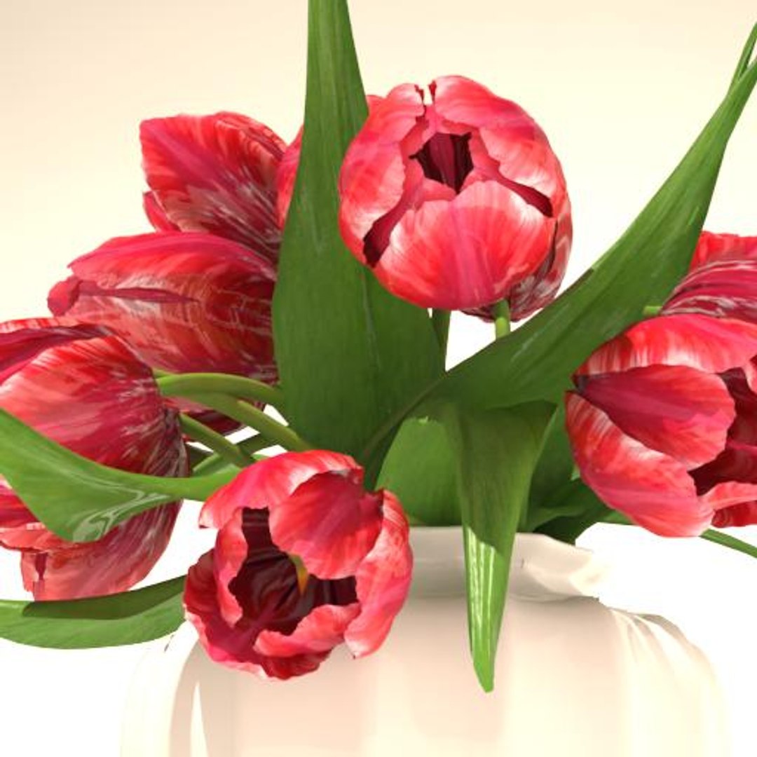 Maya Red Tulips Bouquet V3