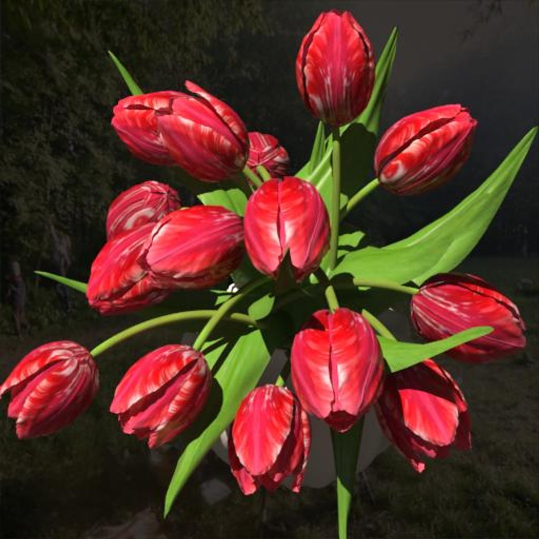Maya Red Tulips Bouquet V3