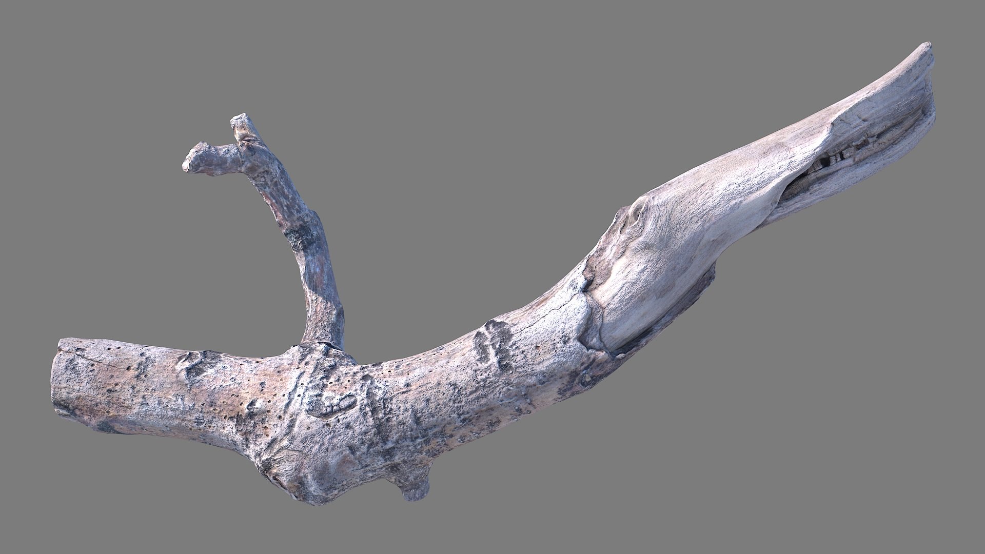 3D Twig Scanned 04 - TurboSquid 2088934