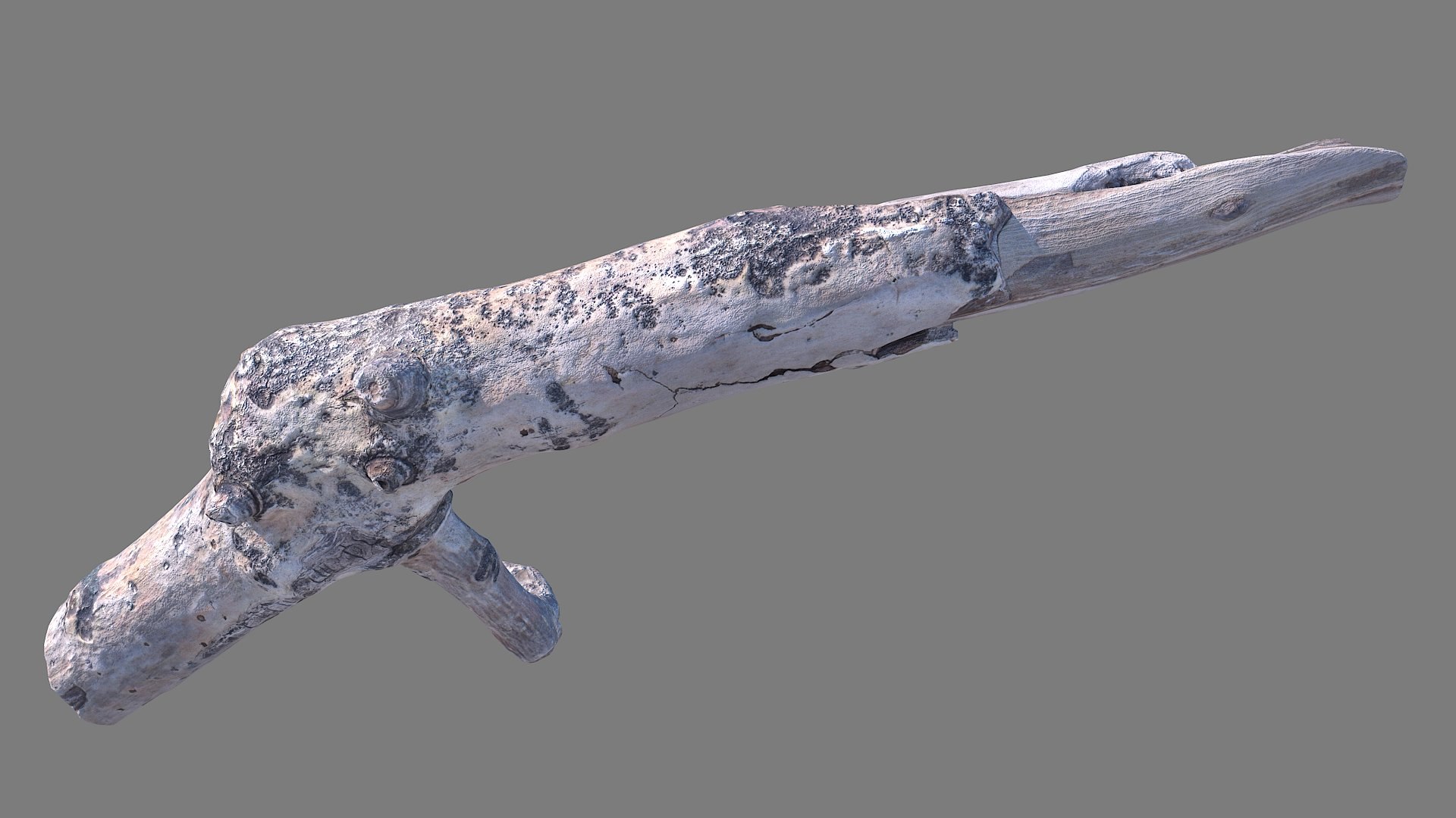 3D Twig Scanned 04 - TurboSquid 2088934