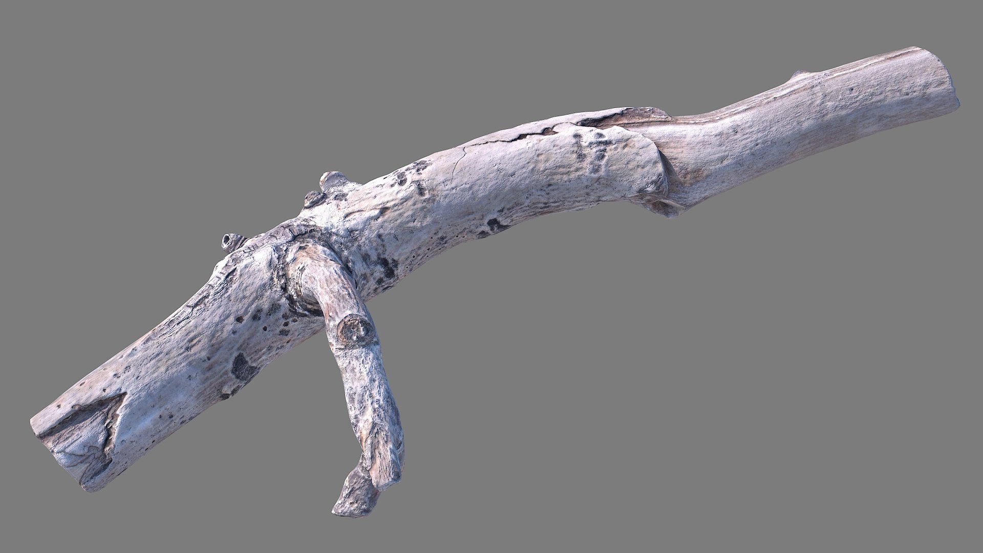 3D Twig Scanned 04 - TurboSquid 2088934