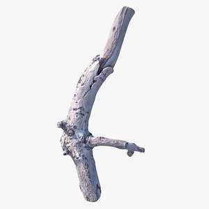 Tree Branch 3D - TurboSquid 1427128