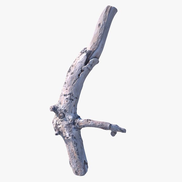Twig 3D Models for Download | TurboSquid
