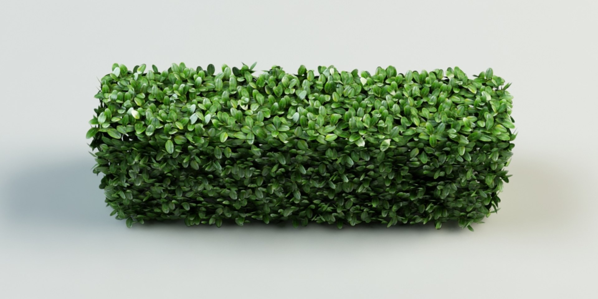 Hedge Bushes 3d Model