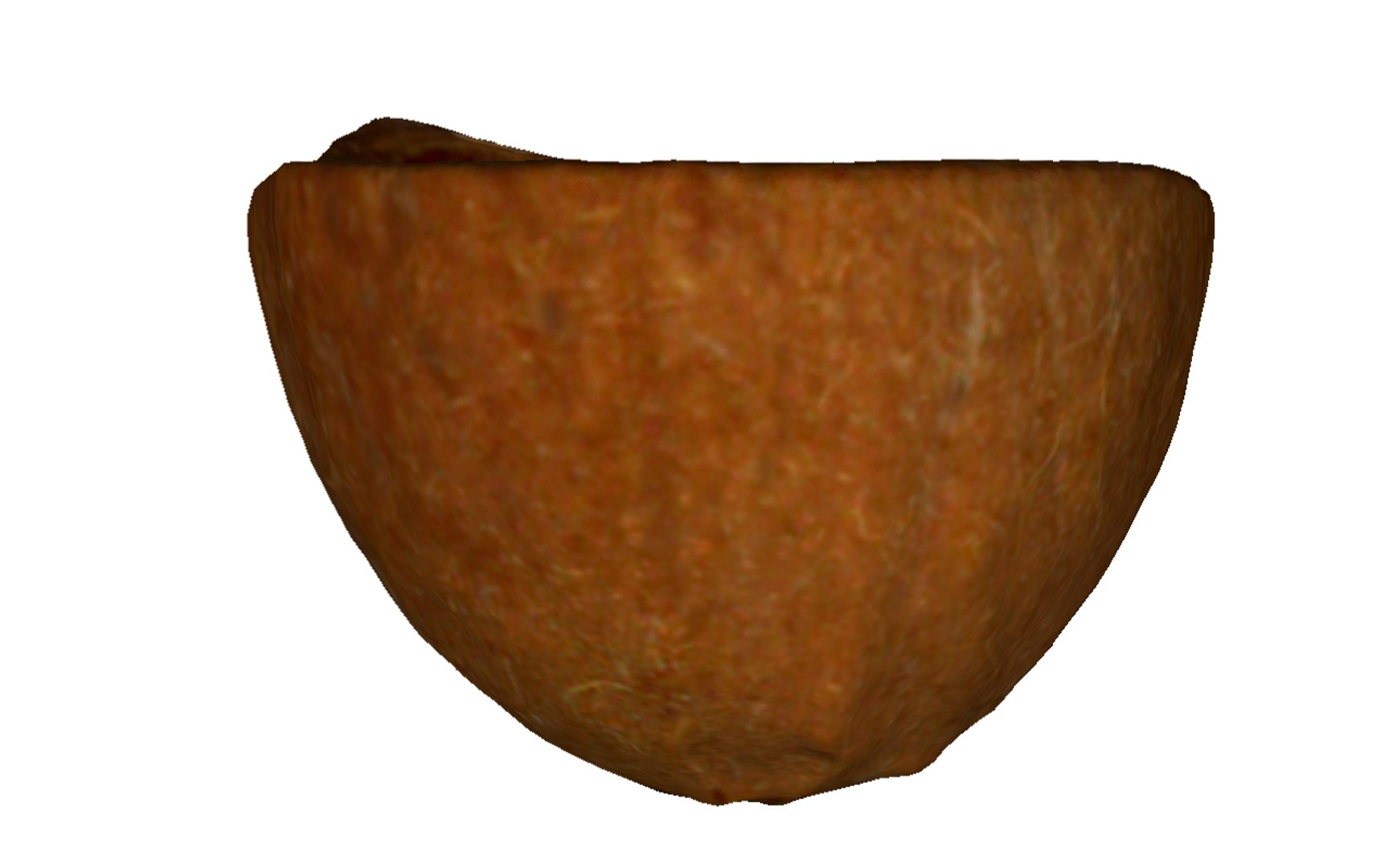 Coconut Shell 3D Model - TurboSquid 1627743