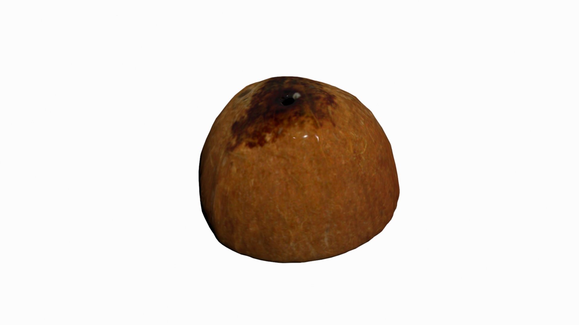 Coconut Shell 3D Model - TurboSquid 1627743