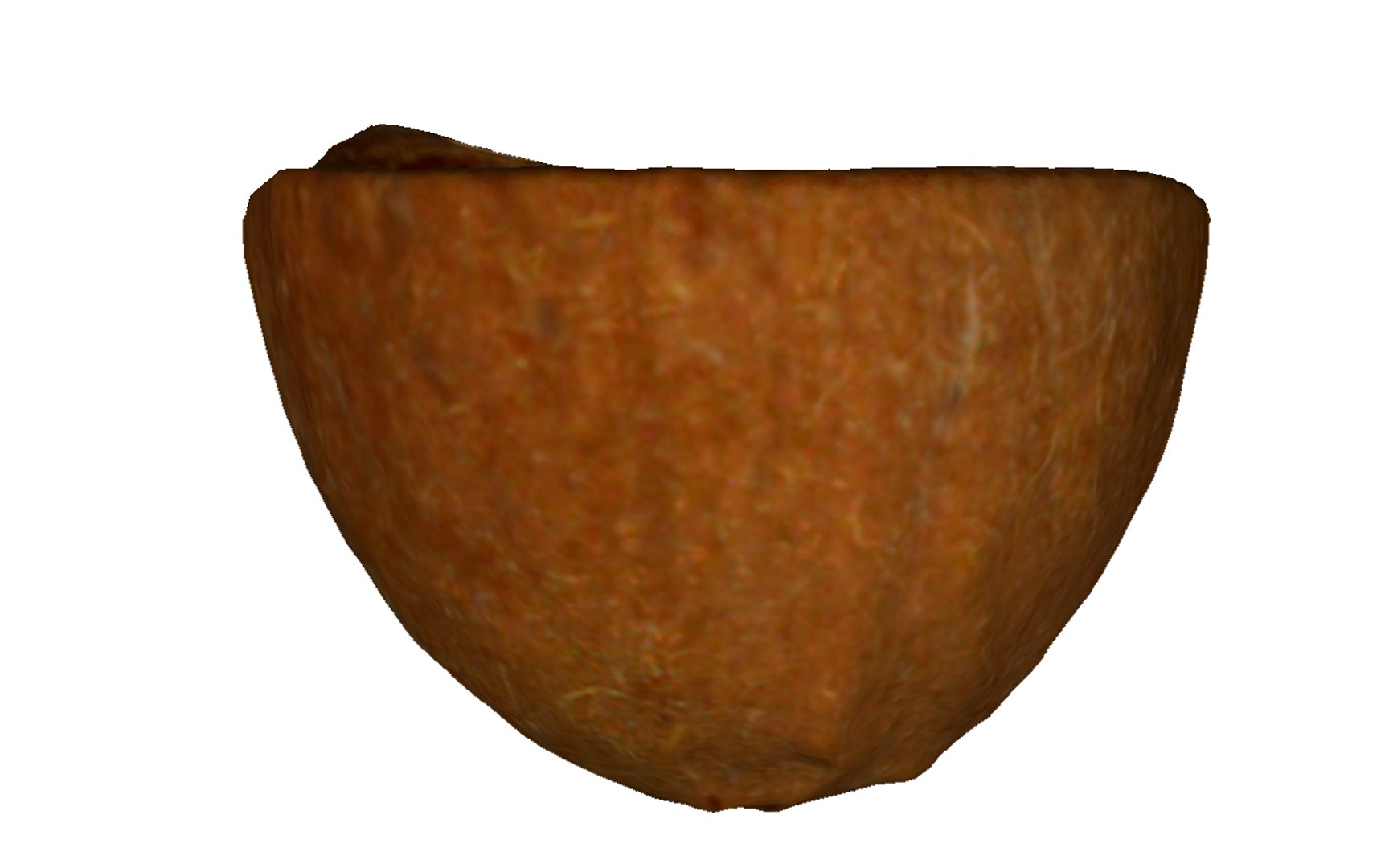Coconut Shell 3D Model - TurboSquid 1627743