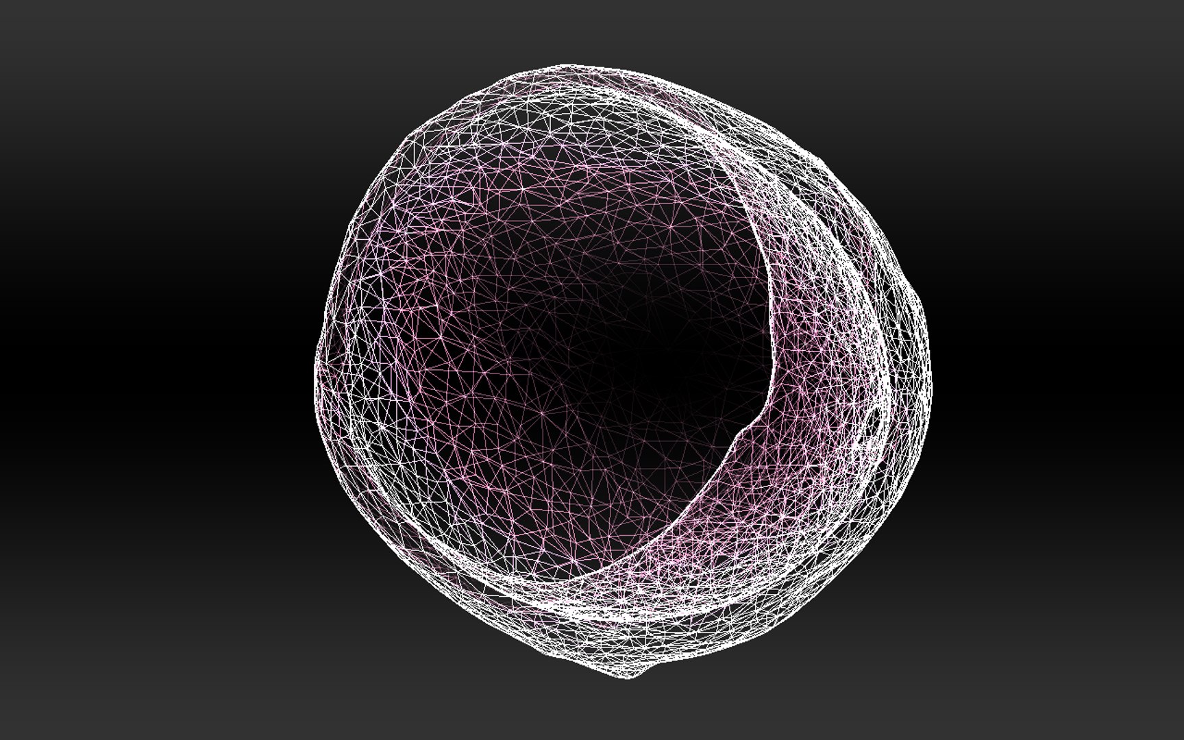 Coconut Shell 3D Model - TurboSquid 1627743