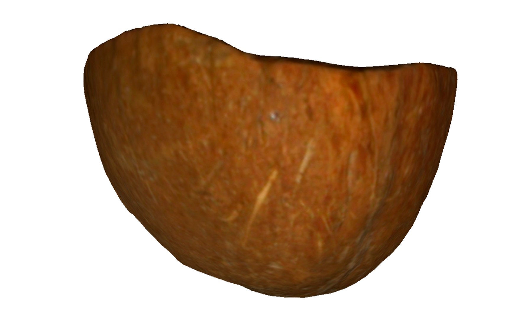 Coconut Shell 3D Model - TurboSquid 1627743