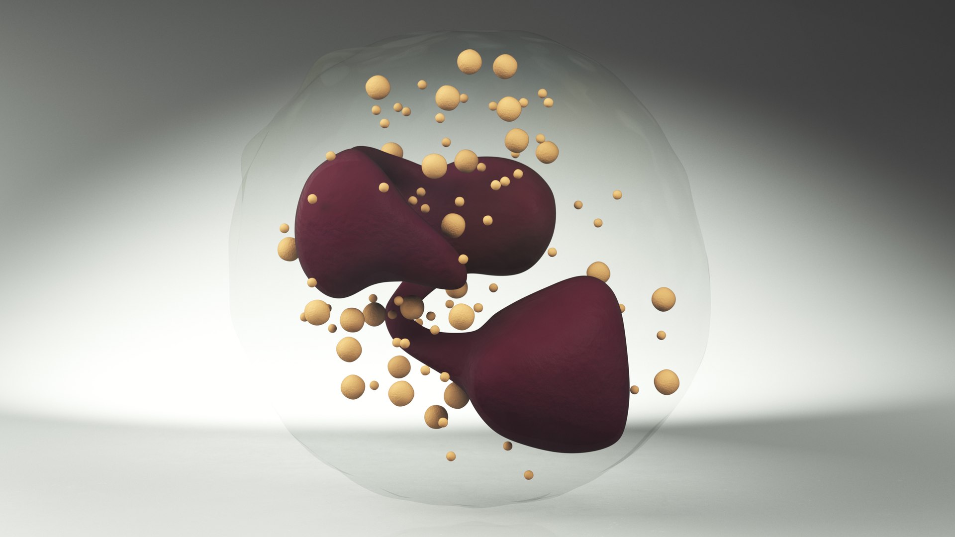 Neutrophil Blood Cell 3D Model - TurboSquid 2129033