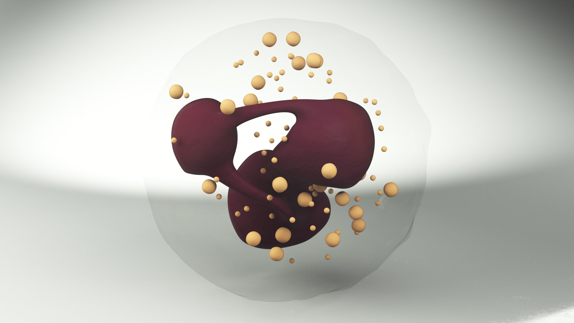 Neutrophil Blood Cell 3D Model - TurboSquid 2129033