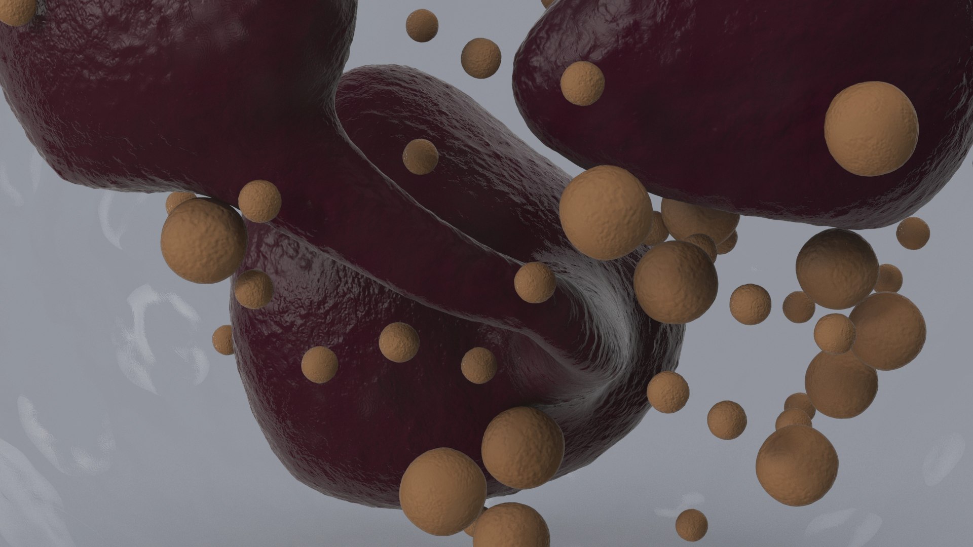 Neutrophil Blood Cell 3D Model - TurboSquid 2129033