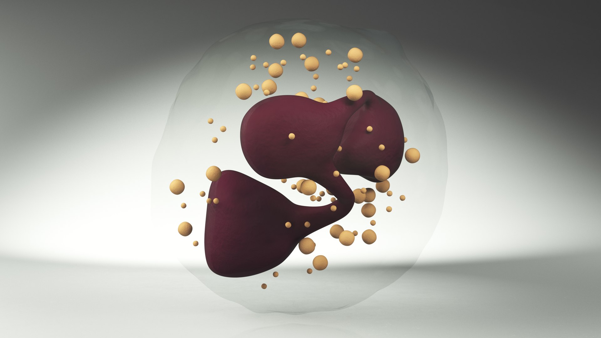 Neutrophil Blood Cell 3D Model - TurboSquid 2129033